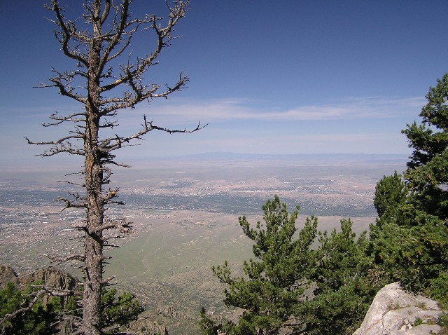Hiking Sandia Trail